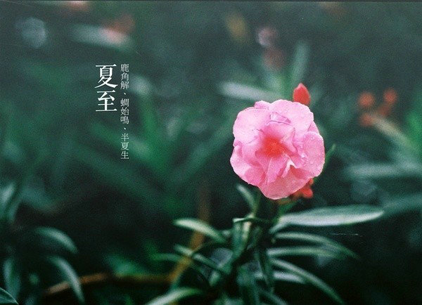 Explore China's Culture - 7 Things You May Not Know About Summer ...