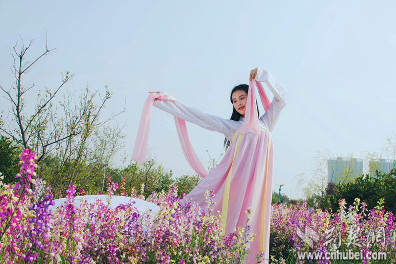 Spring Outing Photos of WUST Campus Belles | Study In China
